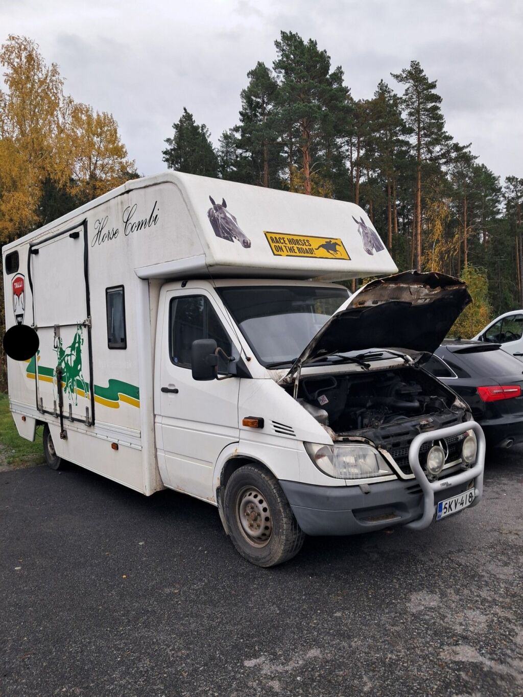 Mercedes-Benz* 315 CDI Matkailuauto (SA) 2ov 2680cm3* - SKV-418 ...